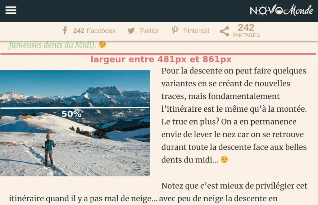 How to have responsive images in Wordpress : the complete guide